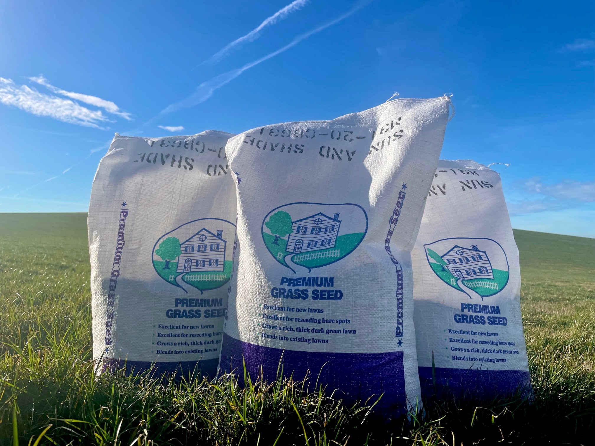 Planting the Perfect Lawn - Oregon Seed Council